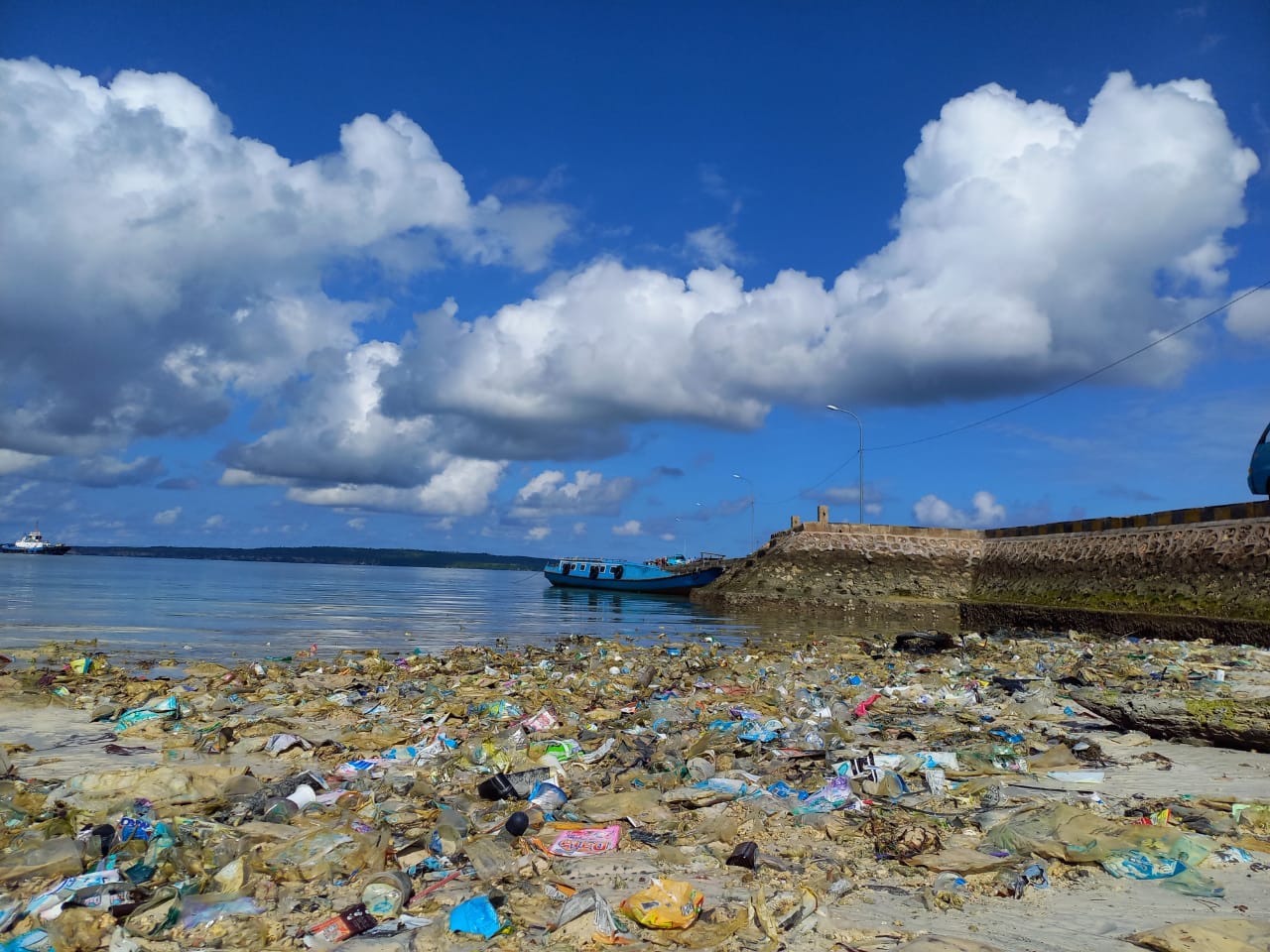 Understanding the Impacts of Plastic Pollution on Coastal and Marine ...